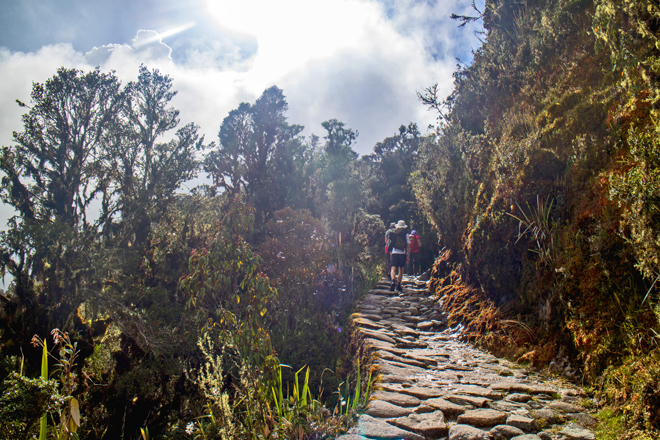 Hiking the Inca Trail: 8½ tips from a solo traveller | Blog - Explore ...