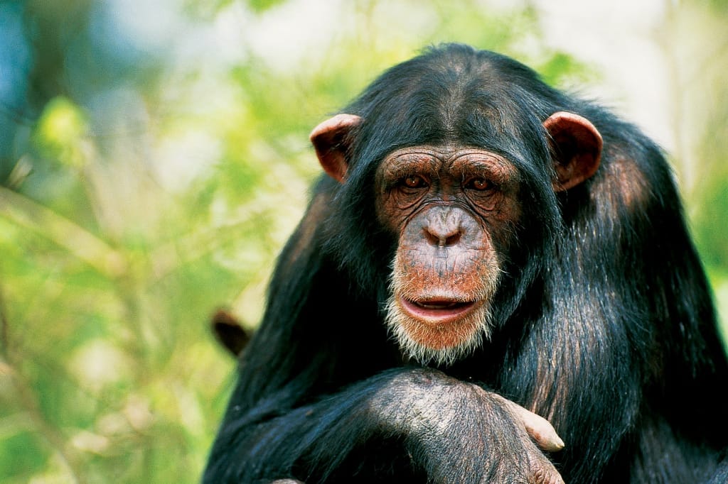 Uganda Holidays & Tours - Explore