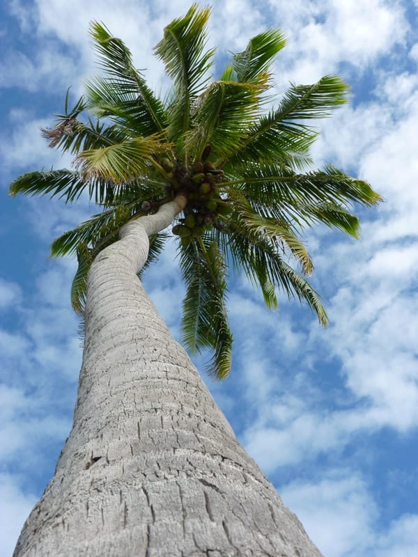 Holidays to Belize - Explore