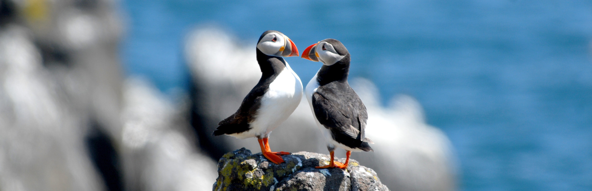 Walking Scotland's Orkney Islands | Orkney Walking Holiday - Explore